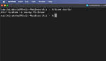 How to run an LLM locally on your Mac – iGeeksBlog