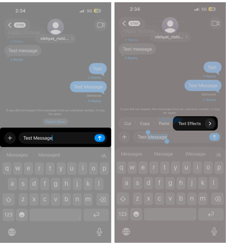 How to Use Text Effects and Formatting in iMessage on iPhone and iPad ...