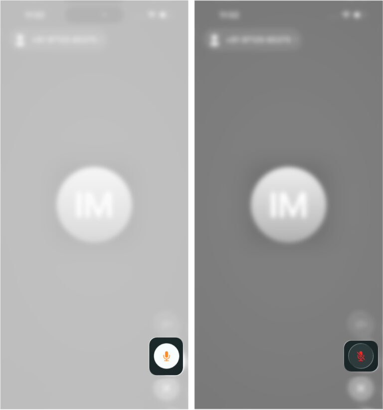 How to Mute Someone on FaceTime: A Complete Guide - iGeeksBlog